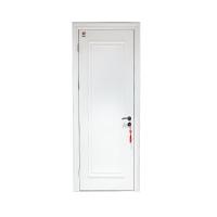 China Invisible Hinge Modern Painted Wooden Doors Interior Waterproof For House Rooms for sale