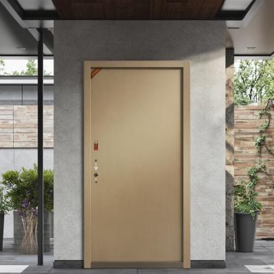 China Durable Fireproof Outdoor Entrance Door Swing Steel Fire Door for sale