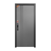 China Modern Exterior Steel Door Thick Leaf for Residential Security Entry for sale