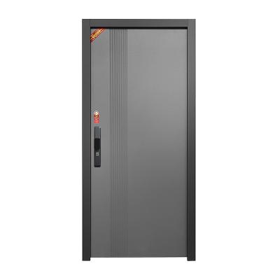 China Modern Exterior Steel Door Thick Leaf for Residential Security Entry for sale