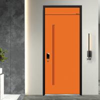 China Home Office Modern Steel Security Door Soundproof Invisible Hinge Custom Color for sale