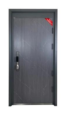 China 70mm Leaf Home Entrance Door Stainless Steel Screen Armored Pivot Front Entry Doors for sale