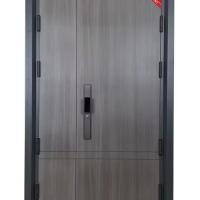 China Heat Transfer Steel Door Soundproof Cold Rolled For Exterior Front Entrances for sale