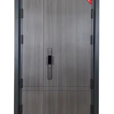 China Heat Transfer Steel Door Soundproof Cold Rolled For Exterior Front Entrances for sale