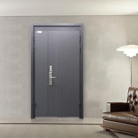 China Modern Custom Steel Security Door with Custom Pattern Manual Open for Homes for sale