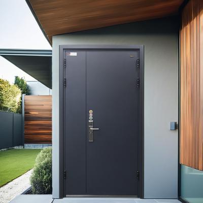 China Modern Galvanized Steel Door Customisable for Home  Business for sale