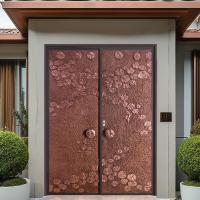 China Modern Luxury Home Entry Doors Anti Theft Manual Swing Entrance Door for sale