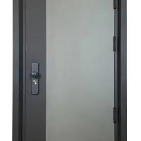 China Polymer Steel Door Honeycomb Paper Infilling Security Entrance Value Pricing for sale