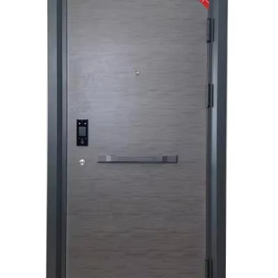 China Safety Security Front Door Steel Wood Fiberglass Screen Sound Insulation Exterior for sale
