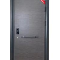 China Flat Frame Entrance Door Unfinished Modern Black Steel Entry Door Side Panels for sale