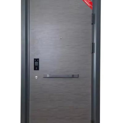 China Flat Frame Entrance Door Unfinished Modern Black Steel Entry Door Side Panels for sale