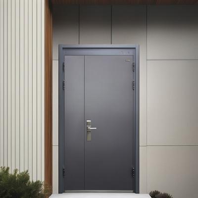 China Standard Size Security Door  Galvanized Steel & Modern For House Gate for sale