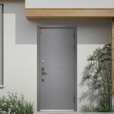 China Modern Intelligent Safety Door  Spray Plastic Surface for Apartments  Secure Outdoor Entry for sale