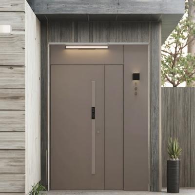 China Anti Theft Waterproof Steel Door Custom Commercial Manual Front Entry Door for sale