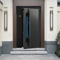 China Residential heavy-duty Firm Swing Steel Door Smart Push Pull for sale