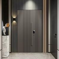 China Modern Double Security Door Elegant Style Residential Safety Entrance Door for sale