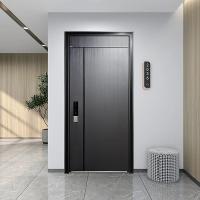 China Modern Cold Rolled Double Steel Security Doors Residential Entrance for sale