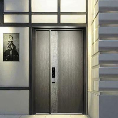 China Commercial Finished Waterproof Exterior Door Modern Custom Son Mother Style for sale