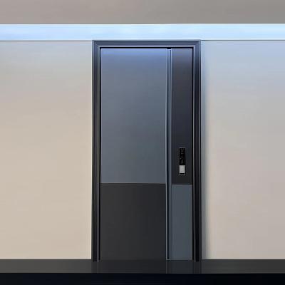 China Anti Theft Apartment Steel Pivot Gate Armored Security Door Custom Color for sale