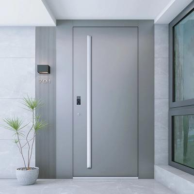 China Modern Anti Theft Entry Door Custom Polymer Steel Gate Single Security For House for sale