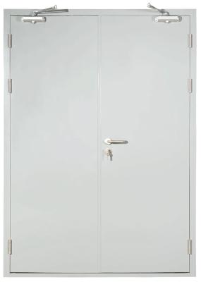 China Heavy-duty steel fire doors suitable for commercial and residential environments, combining performance and aesthetic appeal for sale