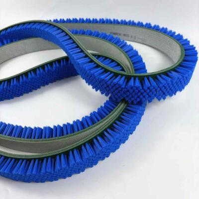 China Non Scratch Nylon Belt Brush For Delicate Surface Cleaning for sale