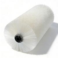 China Customizable Size Multi-Material Roller Brush for Industrial Sanitation and Boot Scrubbers for sale