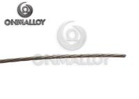 China NiCrSi , NiSiMg Type N Thermocouple Wire Oxidized Style Hot Electrodes for sale