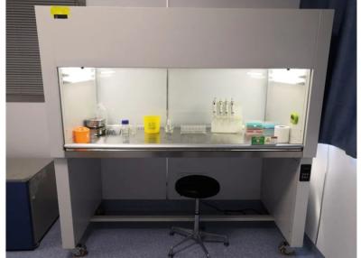 China Two Step Double HEPA Filter Lab Laminar Flow Cabinets For Lab Clean Room for sale