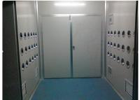 China Anti-Static Class 10000 Cargo Air Shower Tunnel For Cosmetic Workshop , Sandwich Panel for sale