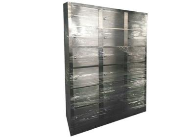 China Clean Room Equipment SUS 304 Storage Lockers/ SUS 304 Storage Cabinet for sale