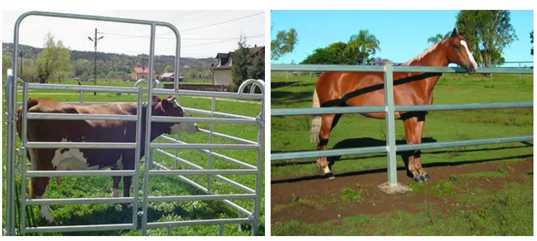 China factory 12ft galvanized farm Bar gate horse racecourse fence
