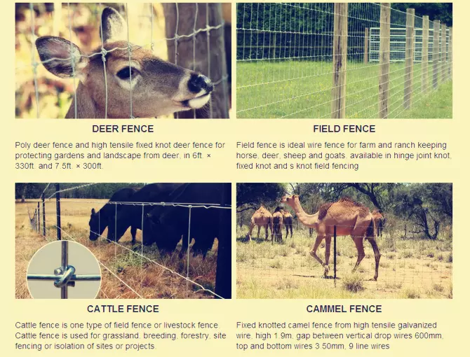 Hight quality goat farming/field fence for sheep and cattle