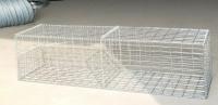 China Protective Fences Gabion Mesh Basket Hot Dipped Galvanised Wire for sale