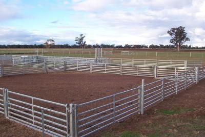 China Hot Dipped Galvanized Knotted Cattle Yard Panels For Sheep And Goat for sale