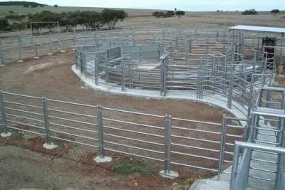 China Round Tube 6ft Metal Livestock Fence Panels Heavy Duty Galvanized Corral for sale