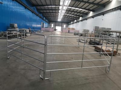 China Carbon Steel 1.7m Portable Fence Panels For Livestock Cattle Yard for sale