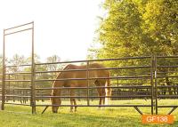 China Welded Round Tube 2.2mx1.7m Livestock Fence Panels For Horse for sale