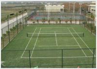 China Stadium Cyclone Vinyl Coated Chain Link Fence for sale