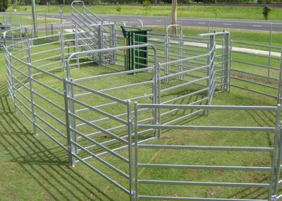 China Multi Function Square pipe H1.8m Livestock Fence Panels for sale