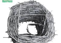 China 2 strands L3cm Barbed Wire Razor Wire for prisons for sale