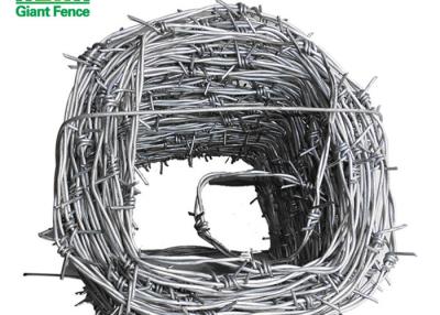 China 2 strands L3cm Barbed Wire Razor Wire for prisons for sale