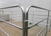 China Pre Galvanized Tube Welded 1.8m Height Cattel Panel With 50x50mm Square Pipe for sale