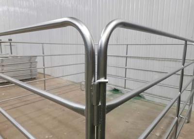China Pre Galvanized Tube Welded 1.8m Height Cattel Panel With 50x50mm Square Pipe for sale