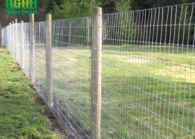 China HGMT Steel Wire Mesh Fixed Knot Livestock Fence Panels for sale