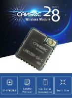 China Small Size Lora Communication Module Cansec LRW32BH-HA/UA-C ST-STM32WLE Lorawan Transmission Long Rang for sale