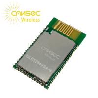 China Nordic NRF52840 Ble Mesh Module For Security Smart Lock BLE52840SA-B for sale