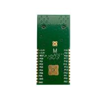China PCB Antenna Ti Module Zigbee CC2530 ZB2530UPA-A With Power Amplifier for sale