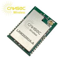 China Iot Control ASR6501 Chipset Microchip Lora Module for sale