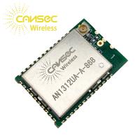 China TI CC1312 IoT AES 256 Bits Sub GHz Module 434/470/868/915MHz 13dBm TX Power for sale